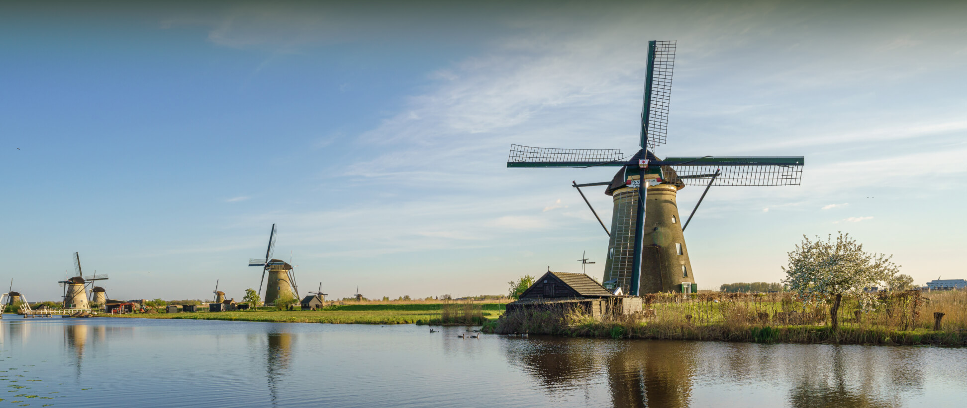 Die Geschichte der Windkraft von der Antike bis heute