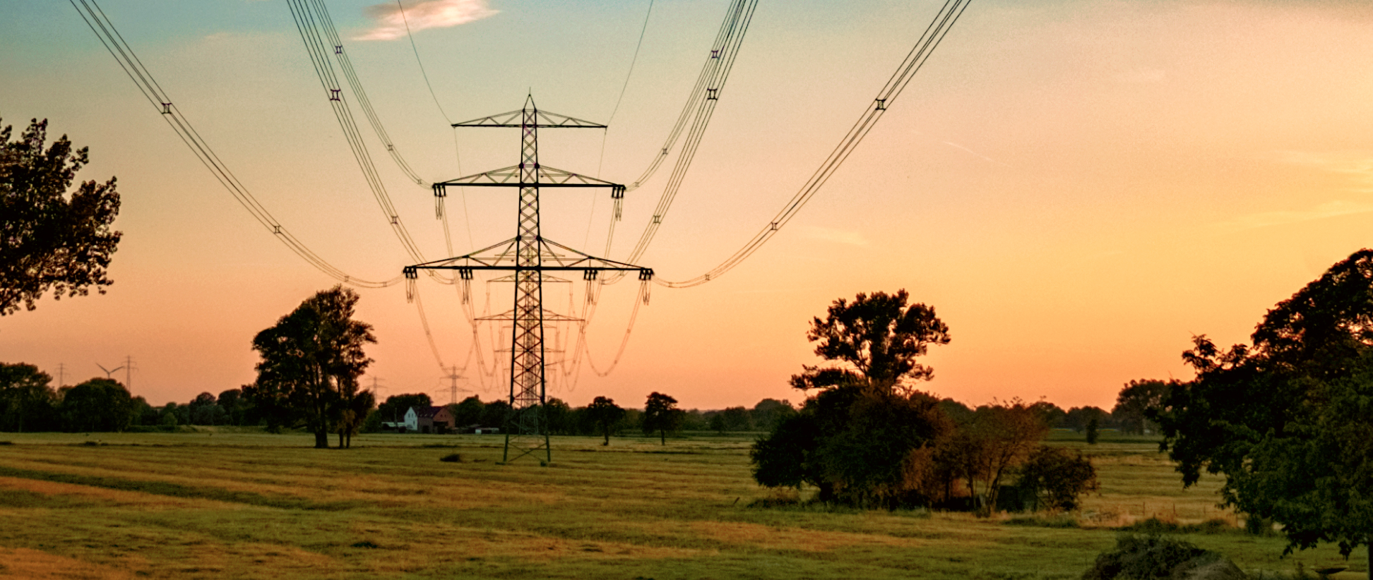 Netzausbau 2024: Aktuelle Zahlen und Entwicklungen