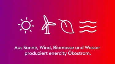 Was ist Ökostrom und wie wird er produziert? - enercity Magazin